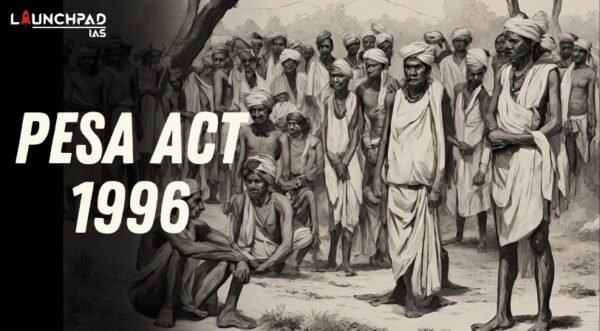 PESA ACT 1996