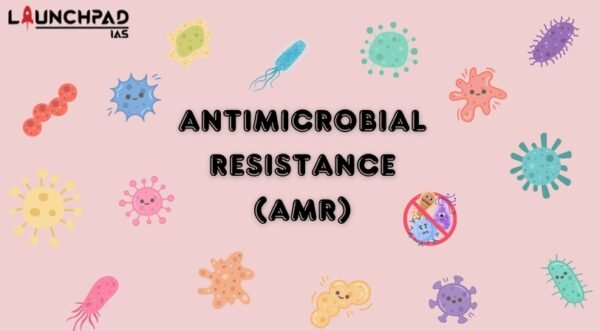 Antimicrobial Resistance (AMR)