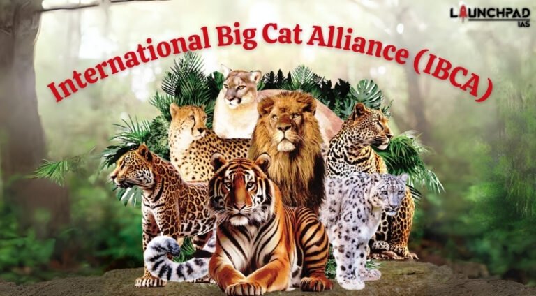 International Big Cat Alliance (IBCA)