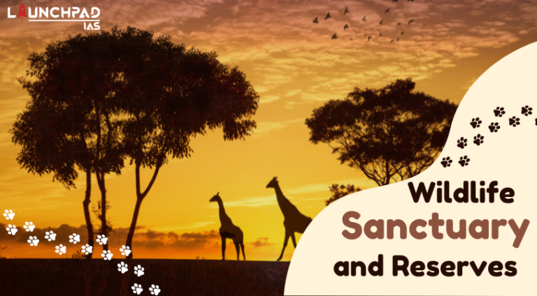 Most Important Wildlife Sanctuary and Reserves